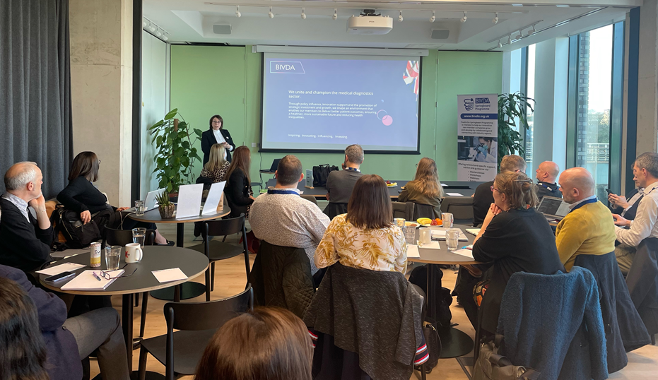 BIVDA hosts first Springboard Programme 2024 event – BIVDA Newsletter